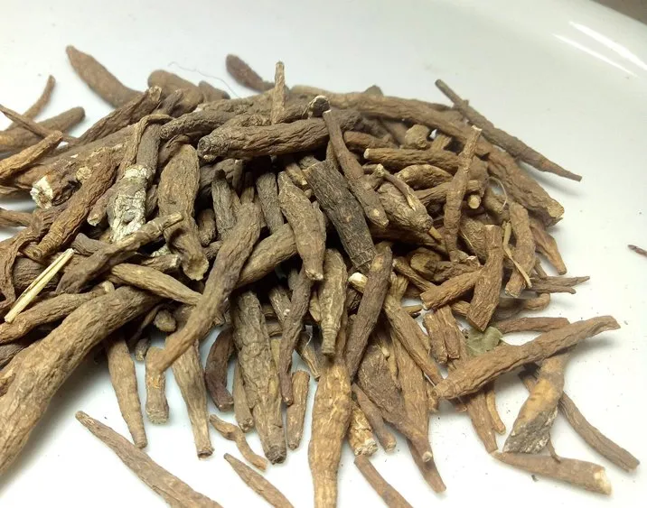 Ativisha, Atish (Aconitum heterophyllum) - Uses, Benefits, and More