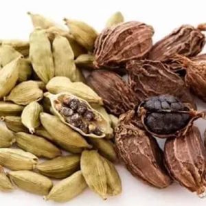 Ela (Elettaria cardamomum) - Uses, Benefits and Medicinal Properties
