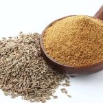 Jeeraka Dwaya (Shweta Jeeraka, Krishna Jeeraka) – Cuminum cyminum Linn ...