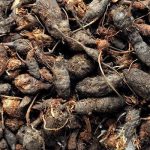 Musta (Cyperus Rotundus) - Uses, Benefits and Medicinal Properties