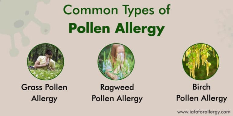 Pollen Allergy Ayurvedic Treatment - Causes, Symptoms and More
