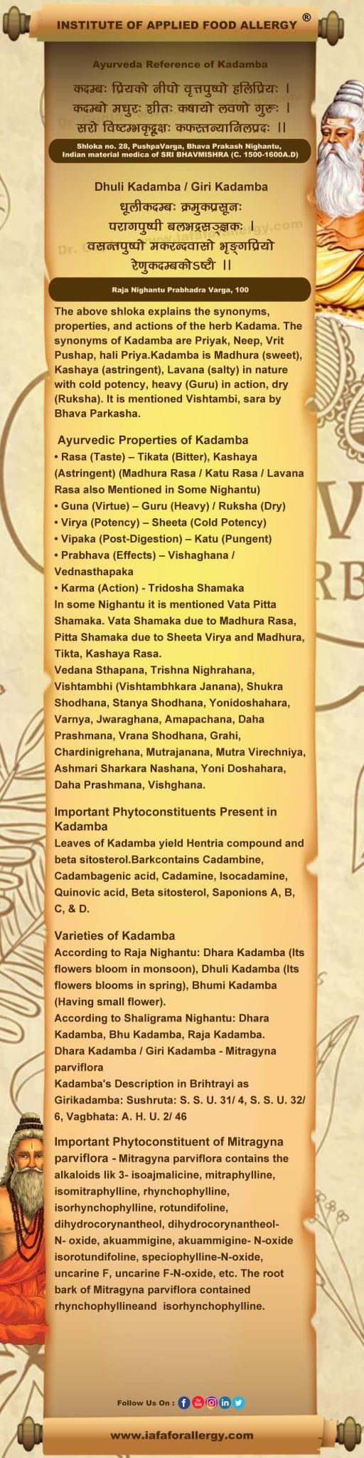 Kadamba (Neolamarckia cadamba) - Therapeutic Uses, Benefits and Indications