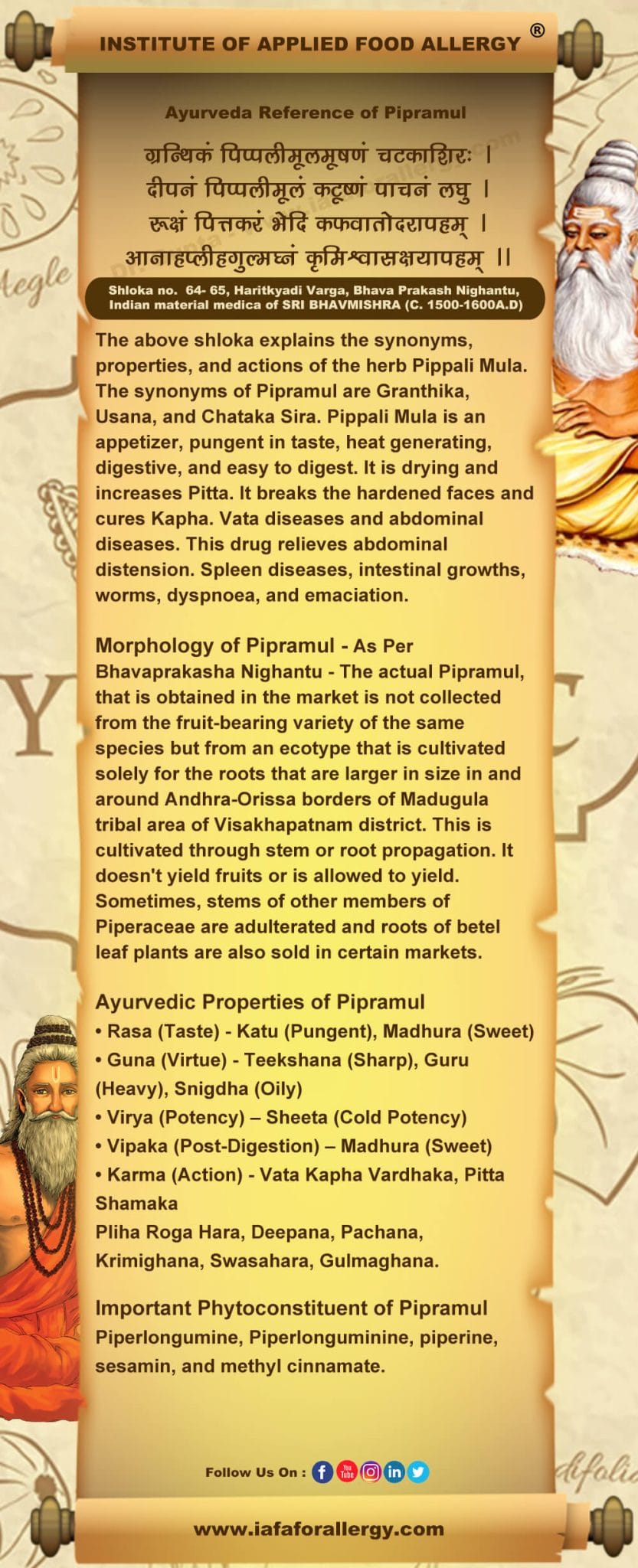 Pippali (Piper Longum) - Uses, Benefits and Medicinal Properties