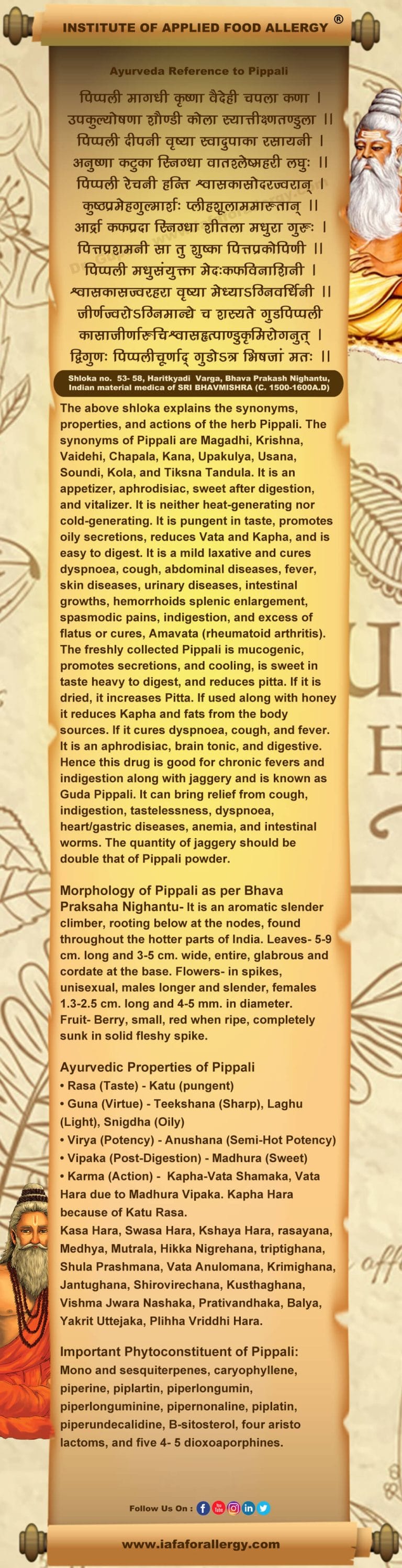 Pippali (Piper Longum) - Uses, Benefits and Medicinal Properties