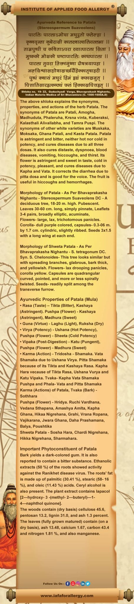 Patala (Stereospermum Suaveolens) - Uses, Benefits and Medicinal Properties